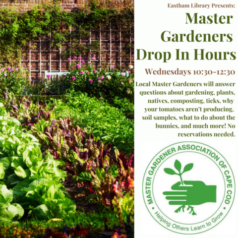 Eastham Library | Cape Cod