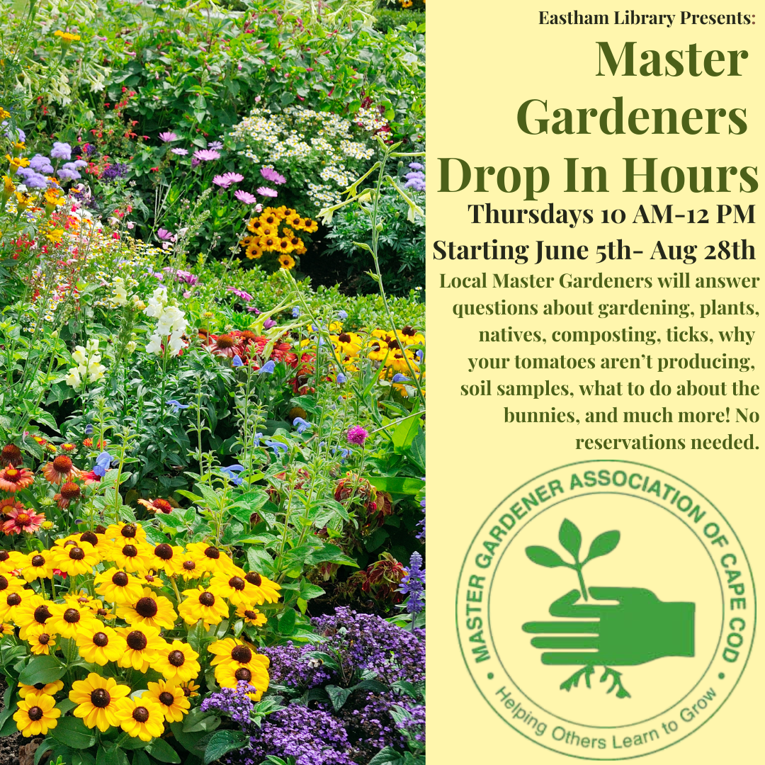 Eastham Library | Cape Cod