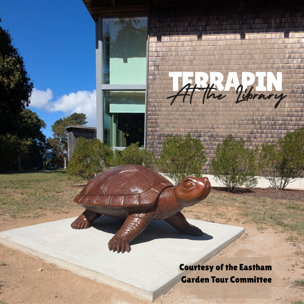 Eastham Library | Cape Cod